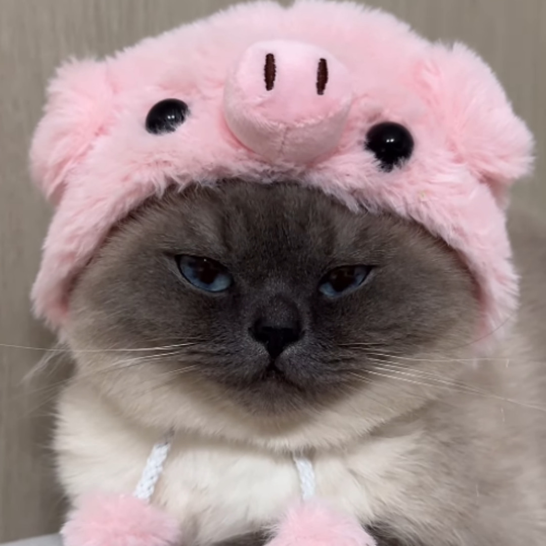 Stream swagzilla & weevl - how u feel now prod psythoness by psythoness ...