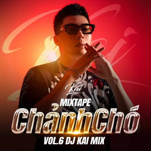 Stream Mixtape Vinahey - Chảnh Chó Vol 6 - DJ Kai Mix by DJ Kai | Listen online for free on ...