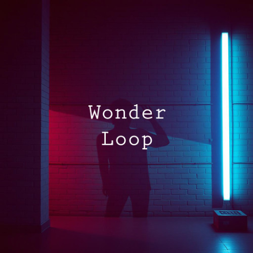 Stream ninnin | Listen to Wonder Loop playlist online for free on ...