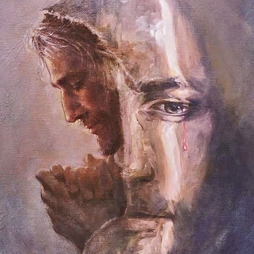 Stream Have you seen Him - with Daniella Seif by David Seif | Listen ...