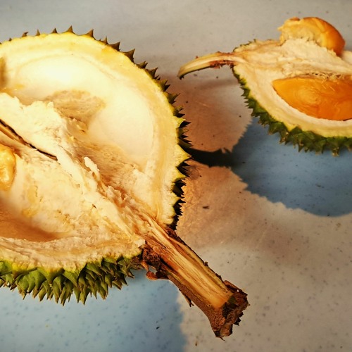 Stream Durian For A White Guy by Max Tole | Listen online for free on ...