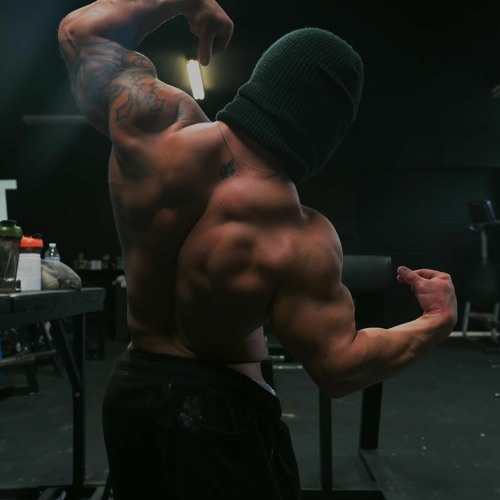 Stream TREN TWINS DISASTER (PHONK) - TESTOSTERONE BOOSTER by Tr3n ...