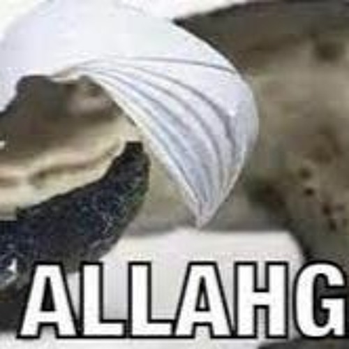 Stream Allah Gator by Chellos the producer | Listen online for free on ...