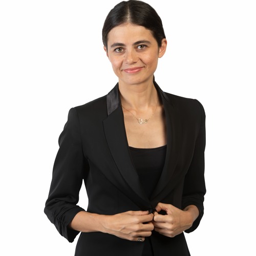 Stream Turkish Journalist Feyza Gumusluoglu World Press Institute by ...