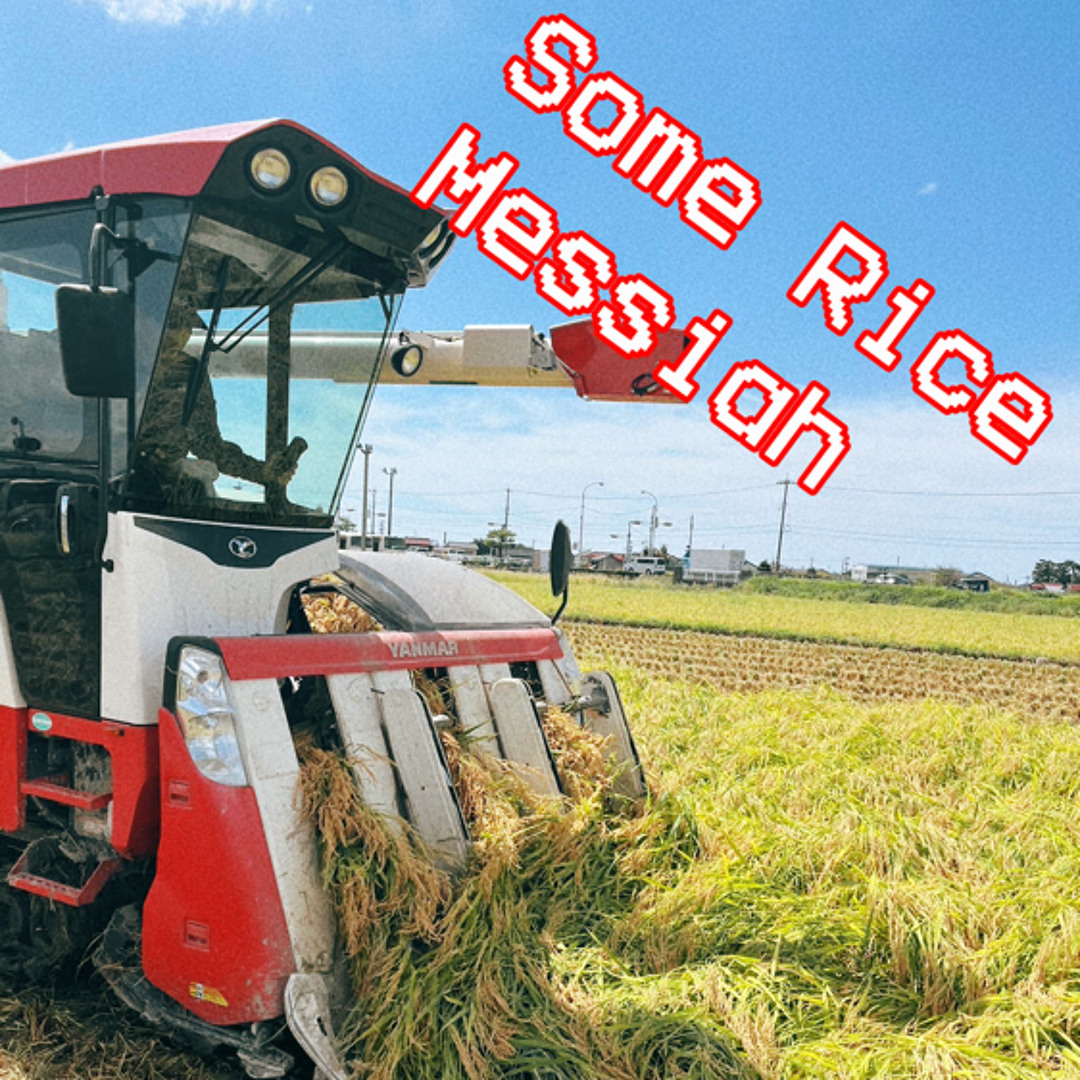 Stream Some Rice Messiah by 熊の皮 | Listen online for free on SoundCloud