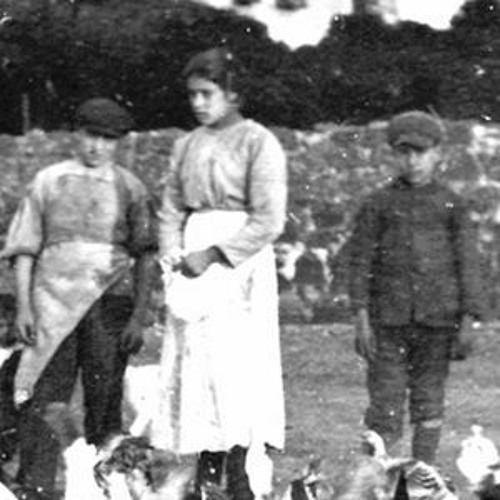 Stream July 6 - St Maria Goretti (2023) by Fr. Anthony Amato | Listen ...