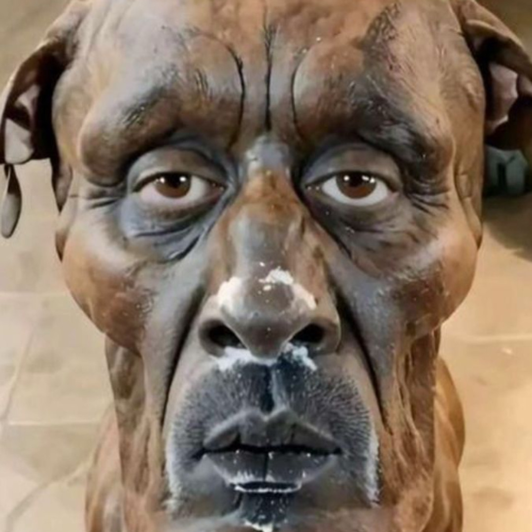 Stream Slapvillage | Listen to LOST FILES 1 playlist online for free on ...