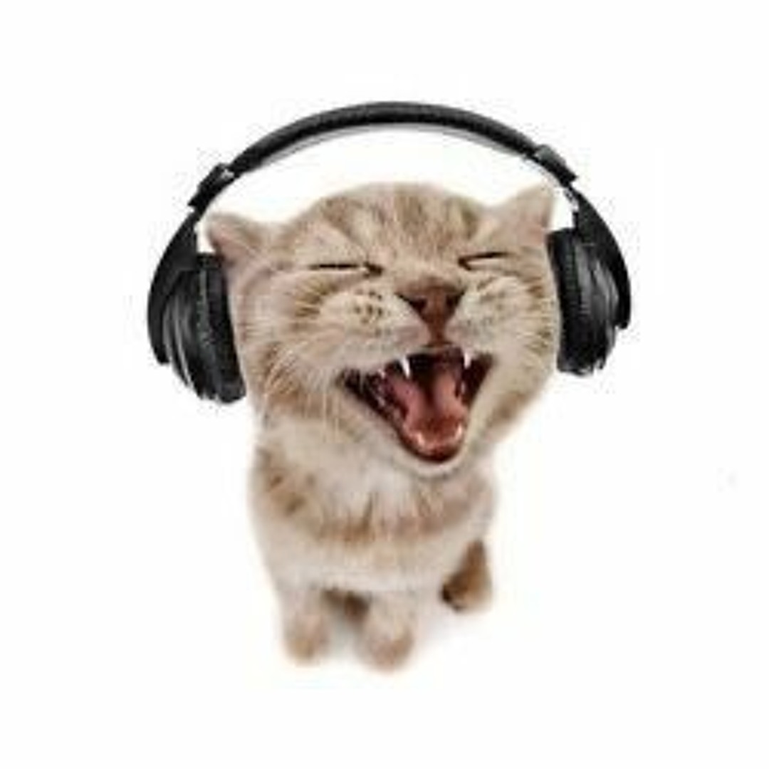 Stream SILLY MIX FOR SILLY PEOPLE by Nudul | Listen online for free on ...