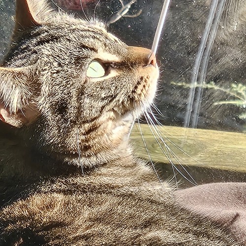 Stream This Drum Break Is The Shit (WTF Edit).wav by Pon Farr | Listen ...