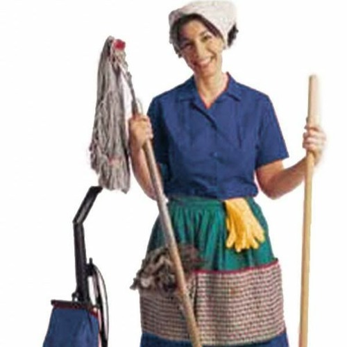 Stream episode USO Talks To James' Cleaning Lady by Roy Hooper podcast ...