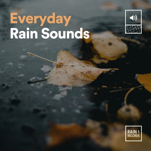 Stream Everyday Rain, Pt. 20 by Rainfall | Listen online for free on ...