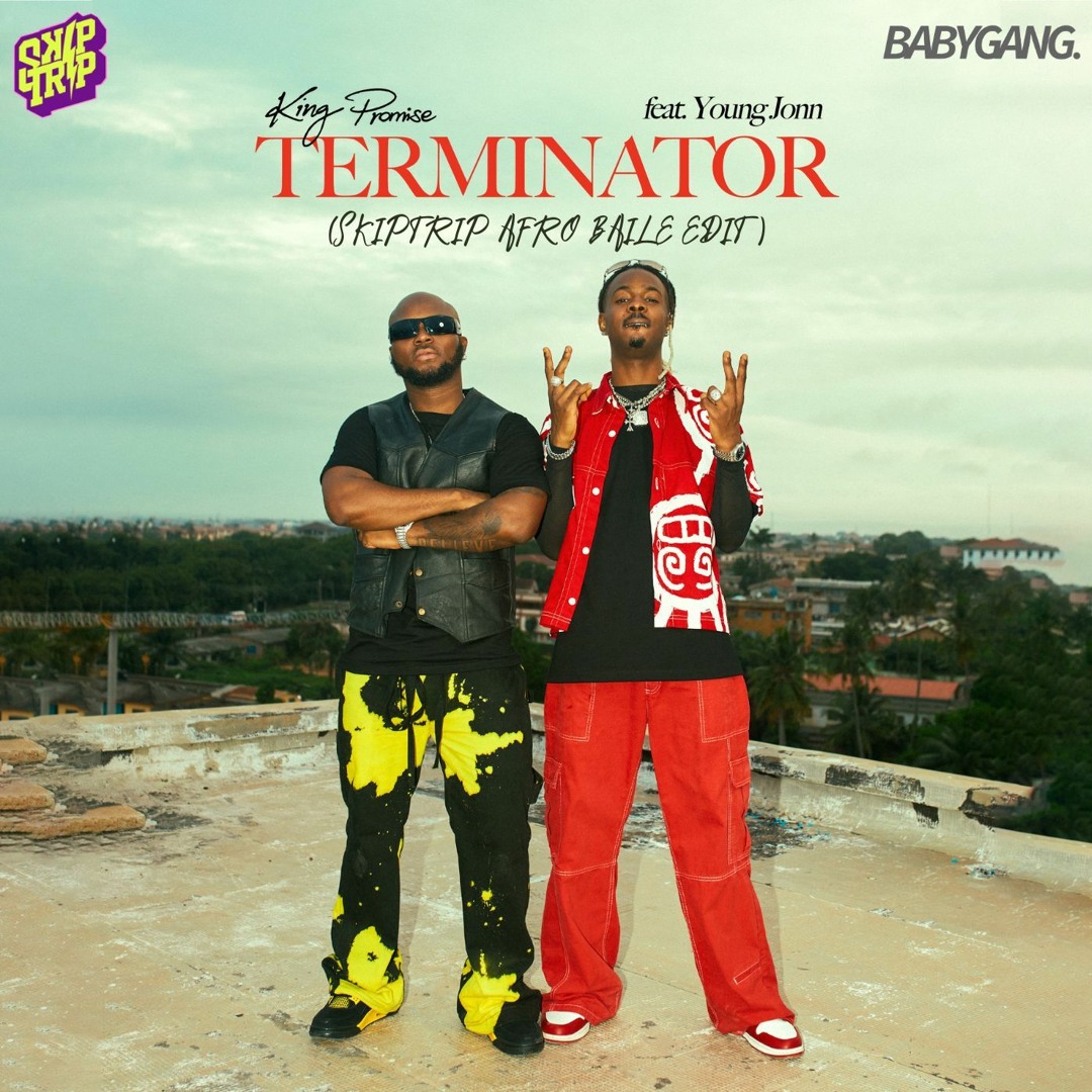 Stream Terminator (SKIPTRIP Afro Baile Edit) [120 BPM Version] by ...