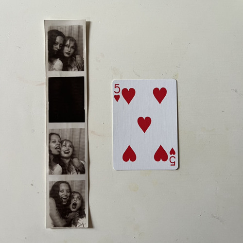 Stream Rottweiler by veronica ·:*¨༺ ★ ༻¨*:·. | Listen online for free ...