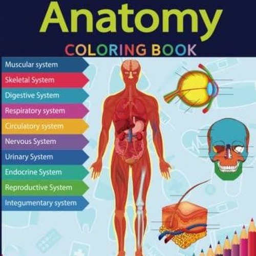 Stream episode ebook Human Anatomy Coloring Book: All Human Body ...