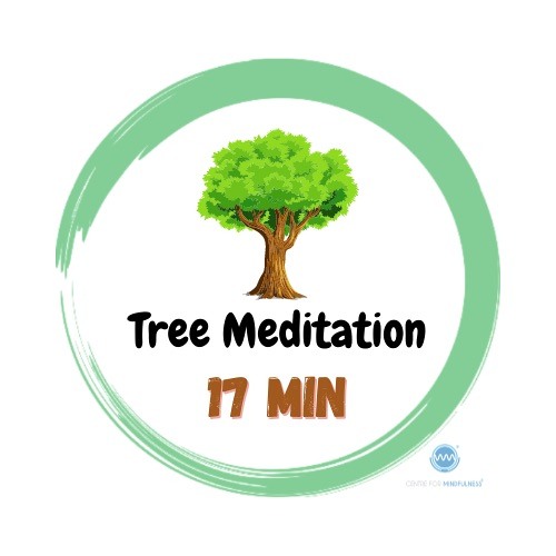 Stream Tree Meditation by Centre for Mindfulness | Listen online for ...