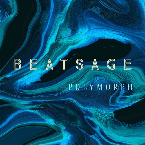 Stream Polymorph by 38-11 aka beatsage | Listen online for free on SoundCloud