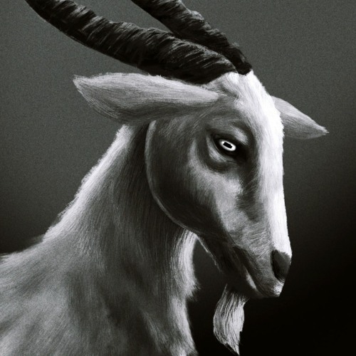 Stream Capra Film Logo Sound Design by KARGA | Listen online for free ...