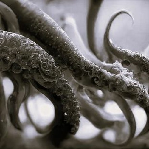 Stream lucas lex - cryptid SPED UP by doomr | Listen online for free on ...