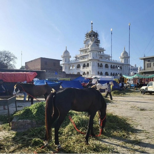 Stream Visar Naahi Dataar Bhai Kanwarpal Singh Ji Dehradoon By Dhun