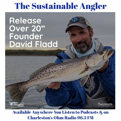 Stream EP 50 Release Over 20 Founder David Fladd by The Sustainable ...