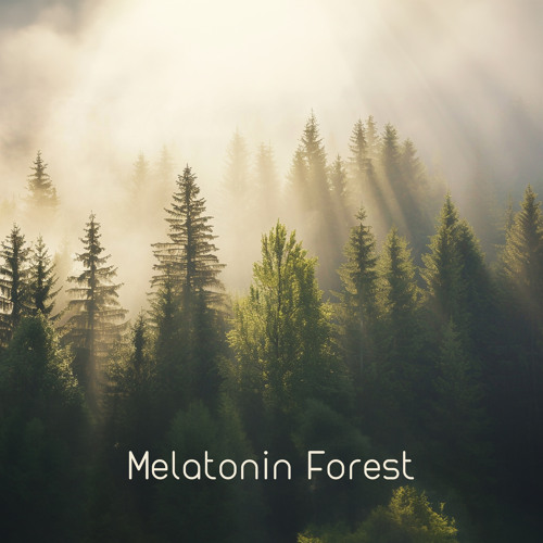 Stream Forest at Twilight by Melatonin Monk | Listen online for free on ...