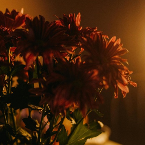 Stream Lagi-Bini (acoustic cover) by Moomark | Listen online for free ...