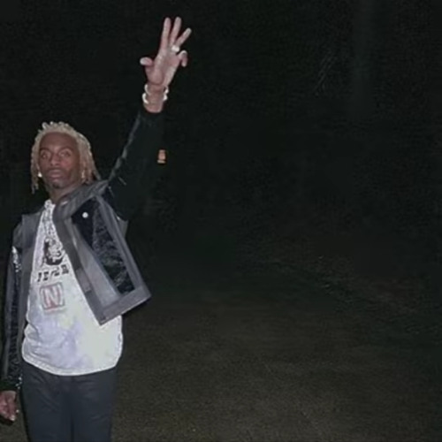 Stream Playboi Carti - Surf (Millions) [ai] by bob | Listen online for ...
