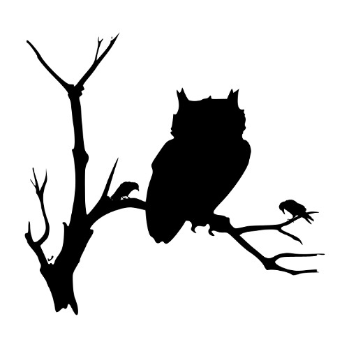 Stream Howl of the Owl by F4EEDXM (Prod. Blur) by F4EEDXM | Listen ...
