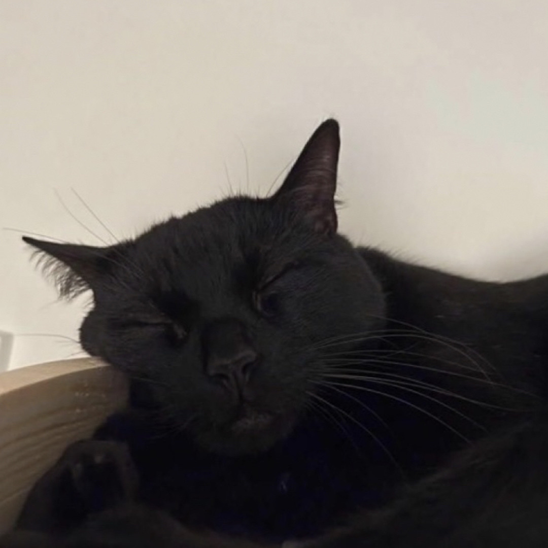 Stream okaymar - be fr prod tdf *reupload* by toogeekd | Listen online ...