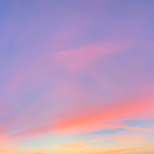 Stream Did You Know? by Josh Trimble | Listen online for free on SoundCloud