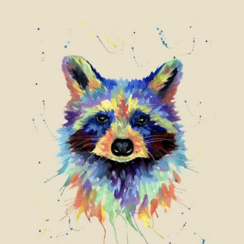 Stream Raccoon Vol.8 Elevate 2020 Edition by SRGJ | Listen online for ...