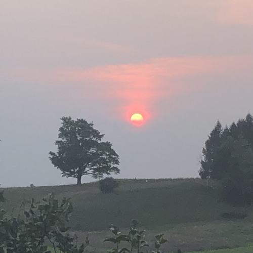 Stream I'm done naming these because they sound corny af by sylas ...