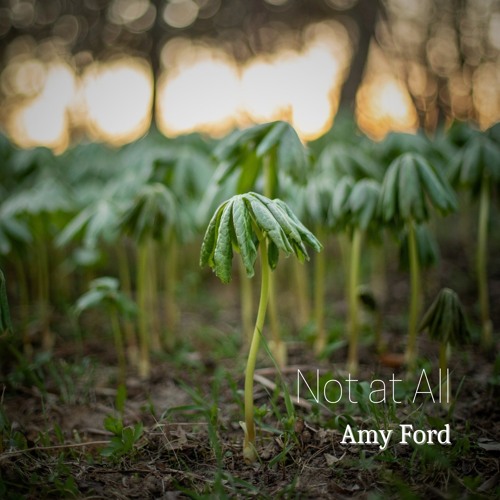 Stream Clumsy Hands by Amy Ford | Listen online for free on SoundCloud