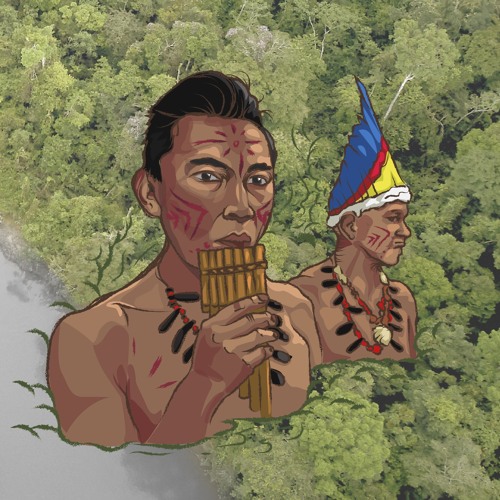 Stream Danza del Carrizo el sentir del Pueblo Cubeo en la ciudad by ...