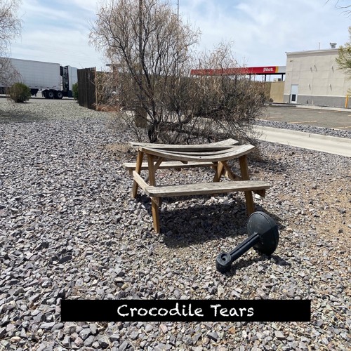 Stream Crocodile Tears by Charlotte Ryerson | Listen online for free on ...