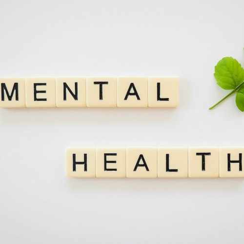 Stream Managing Mental Health As An Entrepreneur from Scott Wolfrum ...