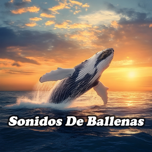Stream Ballenas del Atlantico by Sonidos De Ballenas | Listen online ...