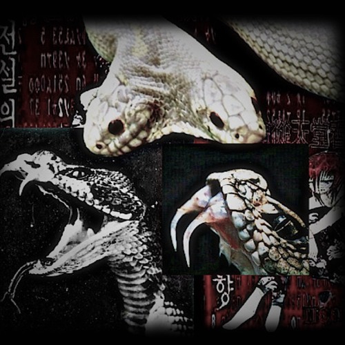 Stream crying serpent [prod. ph4nt4sy] by ph4nt4sy | Listen online for ...