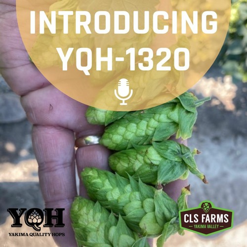 Stream episode Introducing YQH 1320 by CLS Farms podcast | Listen ...