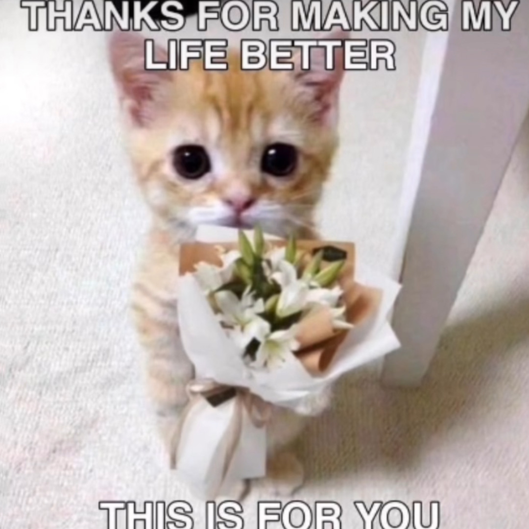 Stream Sorry Mama (Dream DJ Team Edit) by Dream Dj Team | Listen online ...