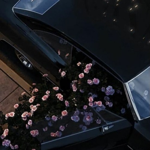 Stream Lana Del Rey - Driving in Cars with boys (Slothy Cover) by Shane ...