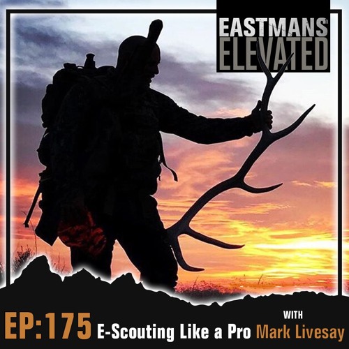 Stream Episode 175: E-Scouting Like a Pro with Mark Livesay by Eastmans ...