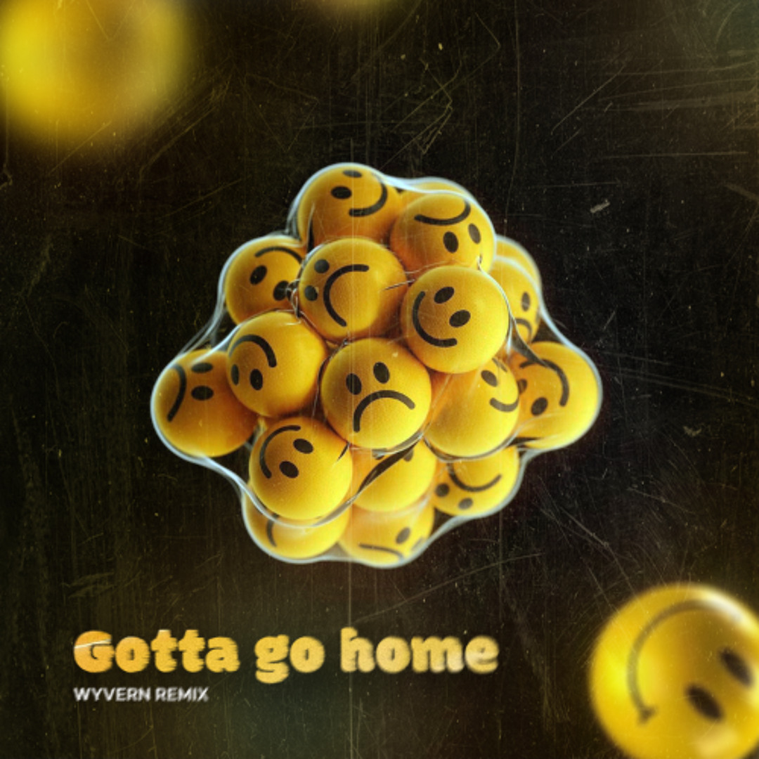 Stream Gotta go home (WYVERN Remix) by WYVERN (KR) | Listen online for ...