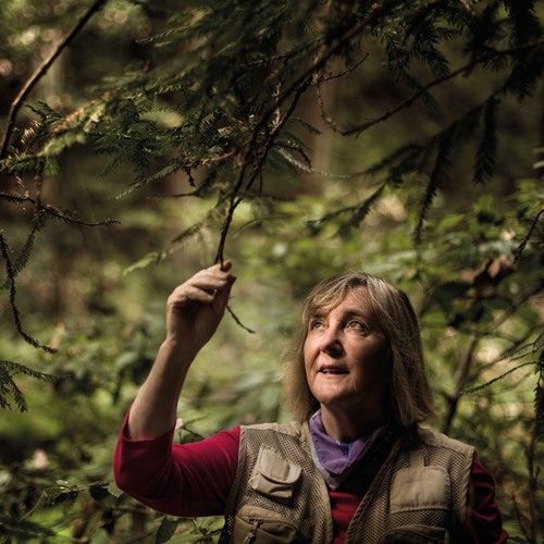 Stream Revisit: Meg Lowman - Canopy Meg by Nature Revisited | Listen ...