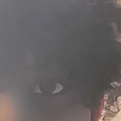 Stream Yinleon Silas - Fly by Karaleon Archives | Listen online for ...