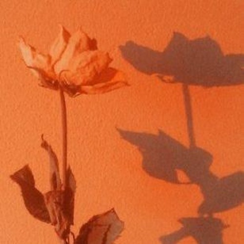 Stream IV Of Spades - Hey, Barbara! (WDYTB Cover) by Wednesday | Listen ...