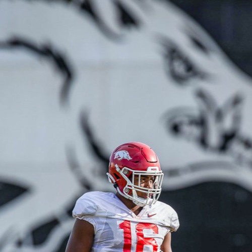 Stream episode Bud Light Seltzer Morning Rush Podcast - Sam Pittman ...