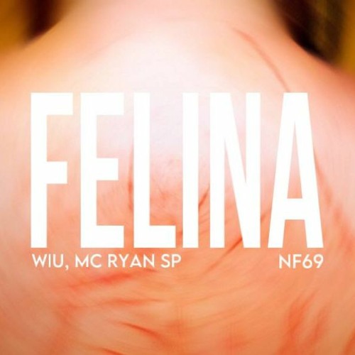 Stream NF69 - Felina (Original By WIU & Ryan SP) by Christian Fenita ...