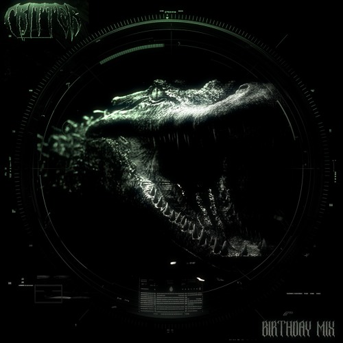 Stream CRITTER BIRTHDAY MIX by GATOR GANG | Listen online for free on ...