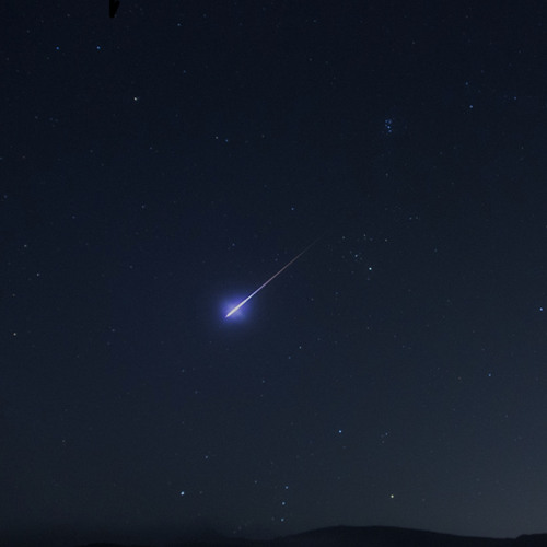 Stream Zovile - Shooting star by Zovile | Listen online for free on ...